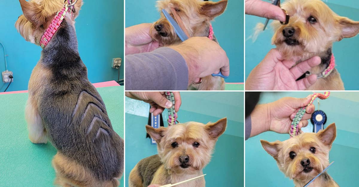 Creative Carving on a Drop-Coat