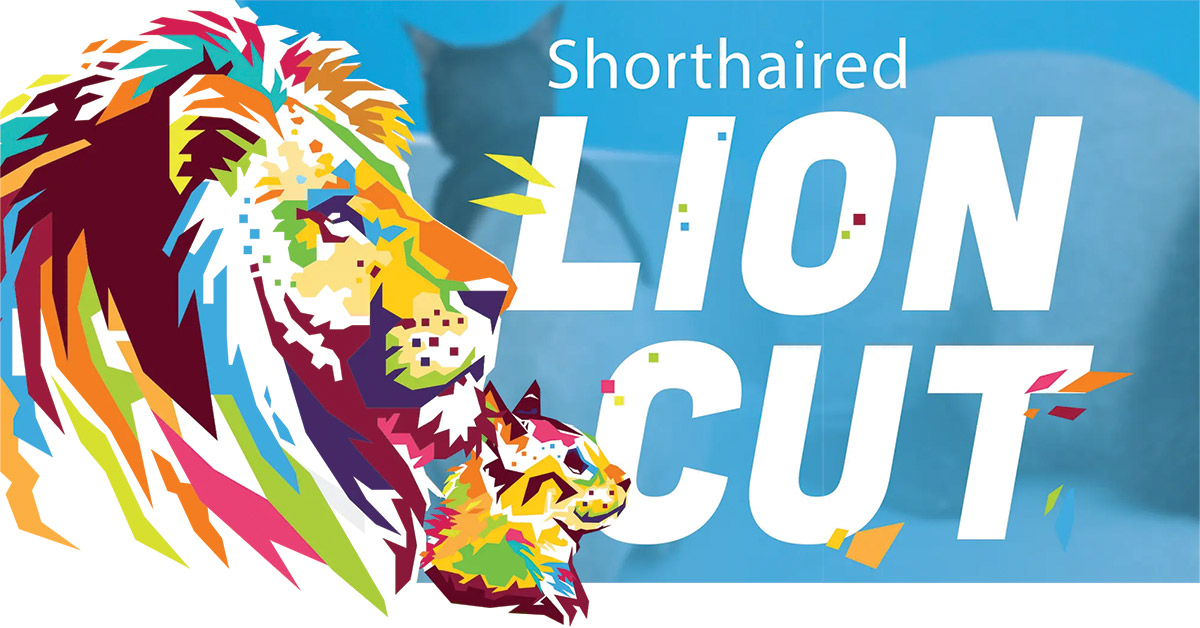 Short-Haired Lion Cut