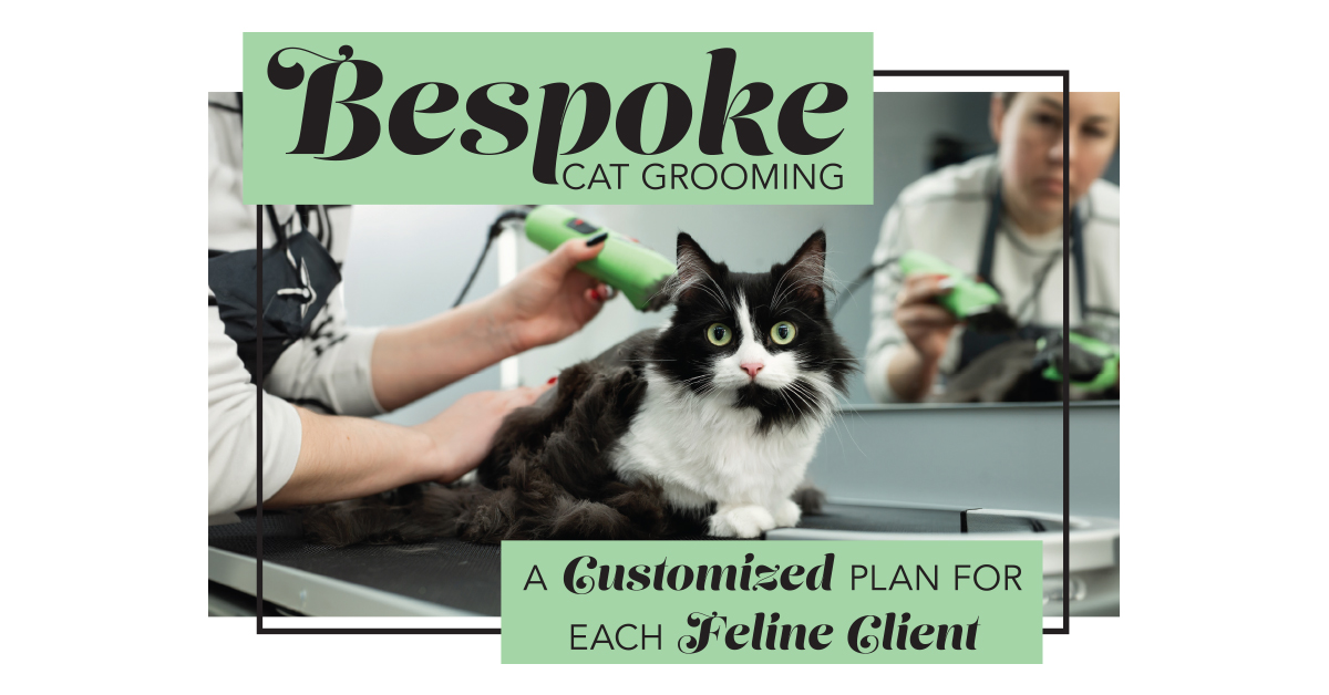 Bespoke Cat Grooming