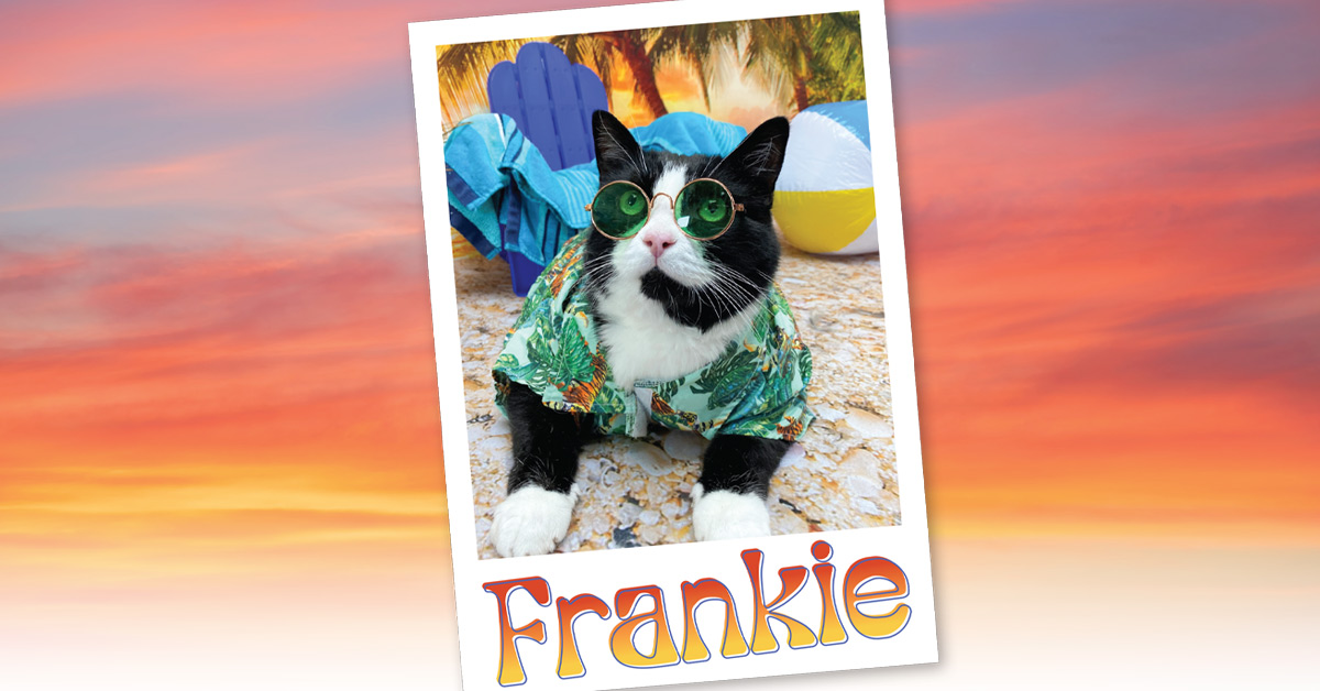 Frankie