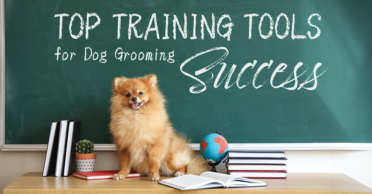 Top Training Tools for Dog Grooming Success