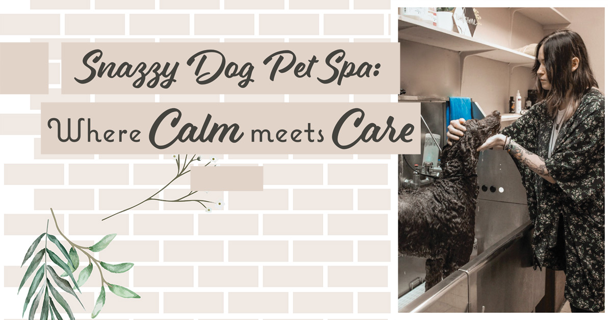 Snazzy Dog Pet Spa: Where Calm meets Care