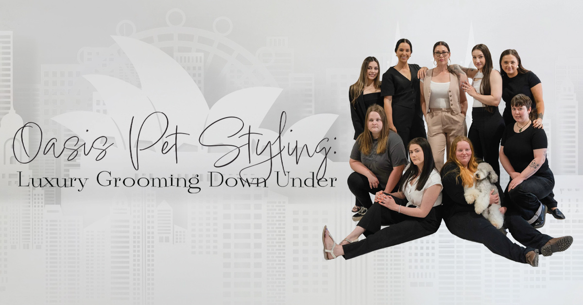 Oasis Pet Styling: Luxury Grooming Down Under
