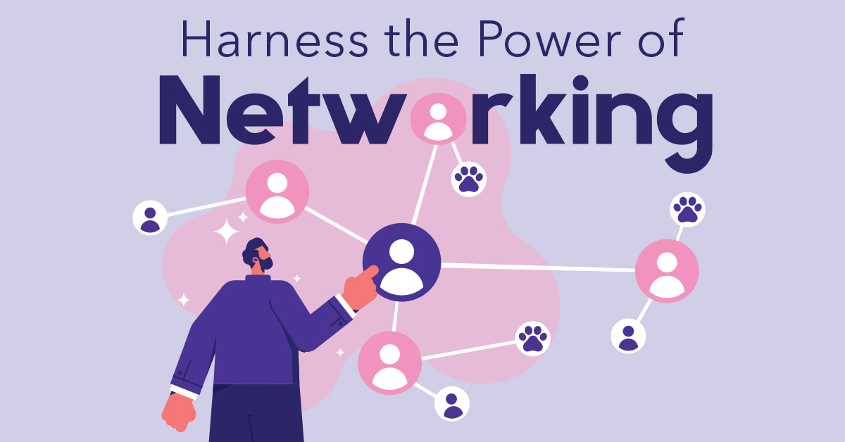 Harness the Power of Networking