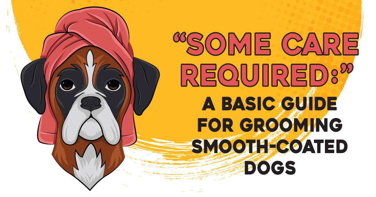 “Some Care Required:” A Basic Guide for Grooming Smooth-Coated Dogs