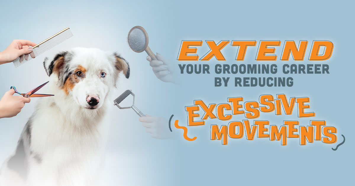 Extend Your Grooming Career by Reducing Excessive Movements
