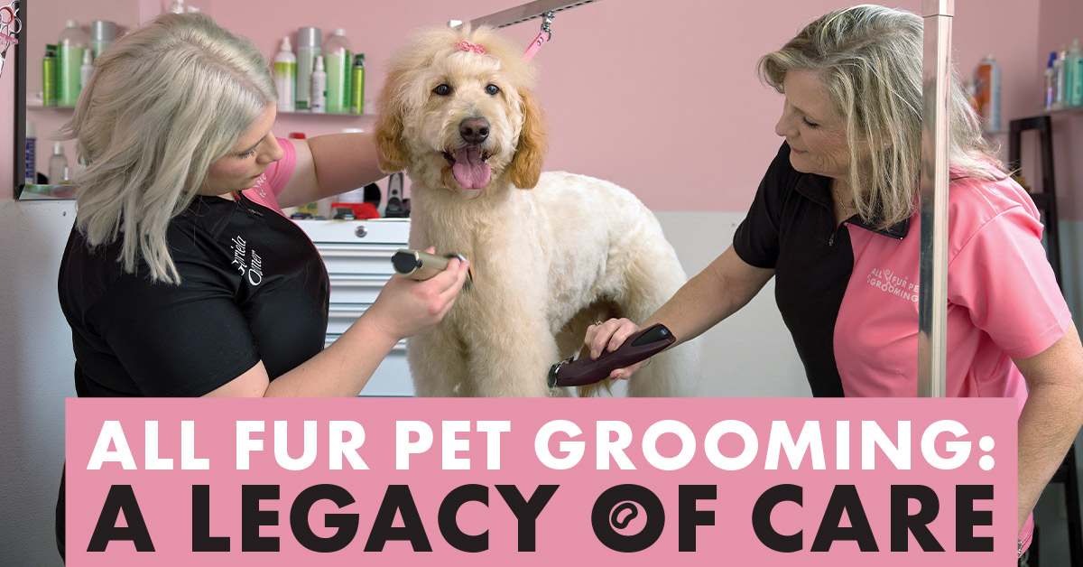 All Fur Pet Grooming: A Legacy of Care