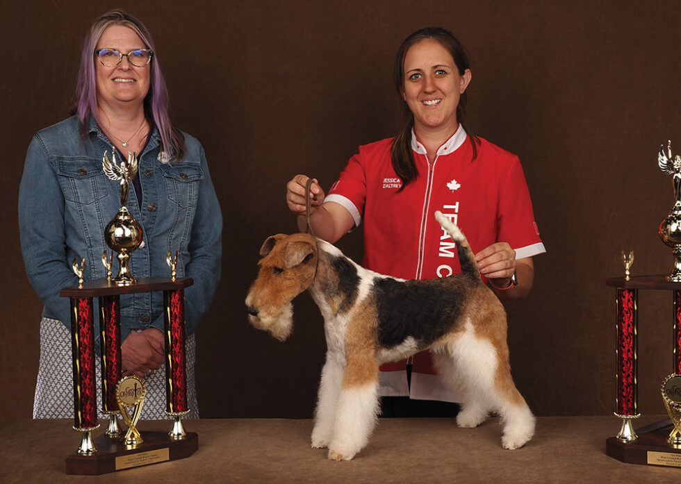 Groom Expo 2025 Contest Results