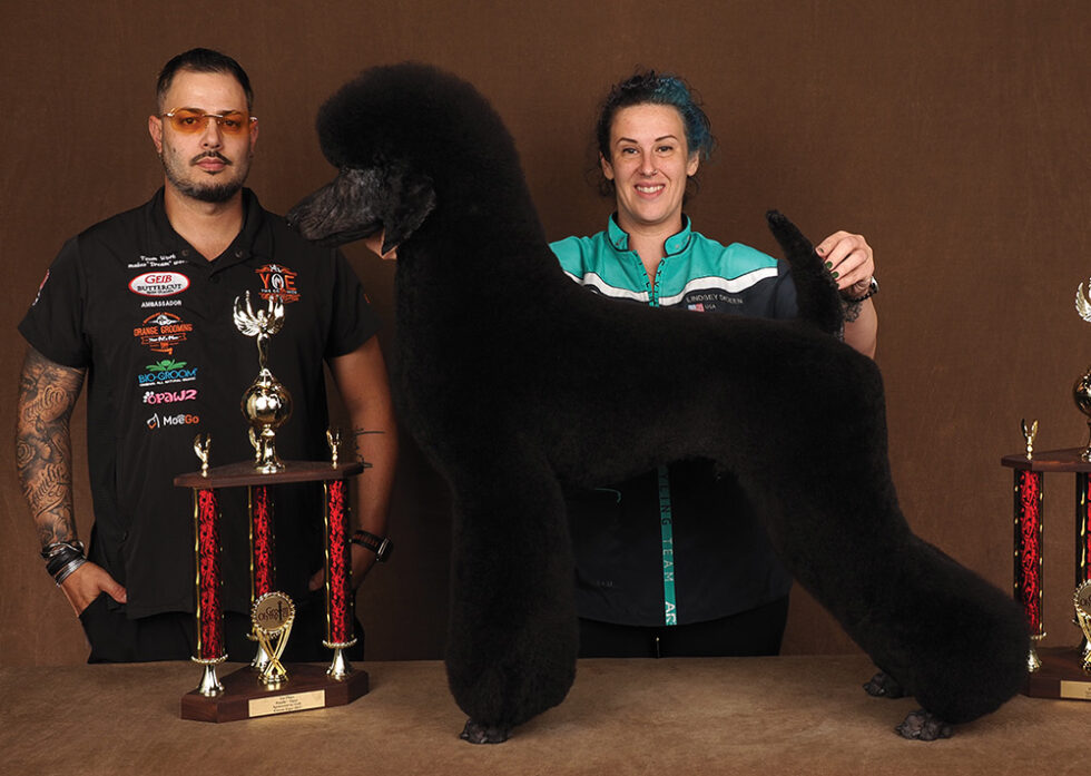 Groom Expo 2025 Contest Results