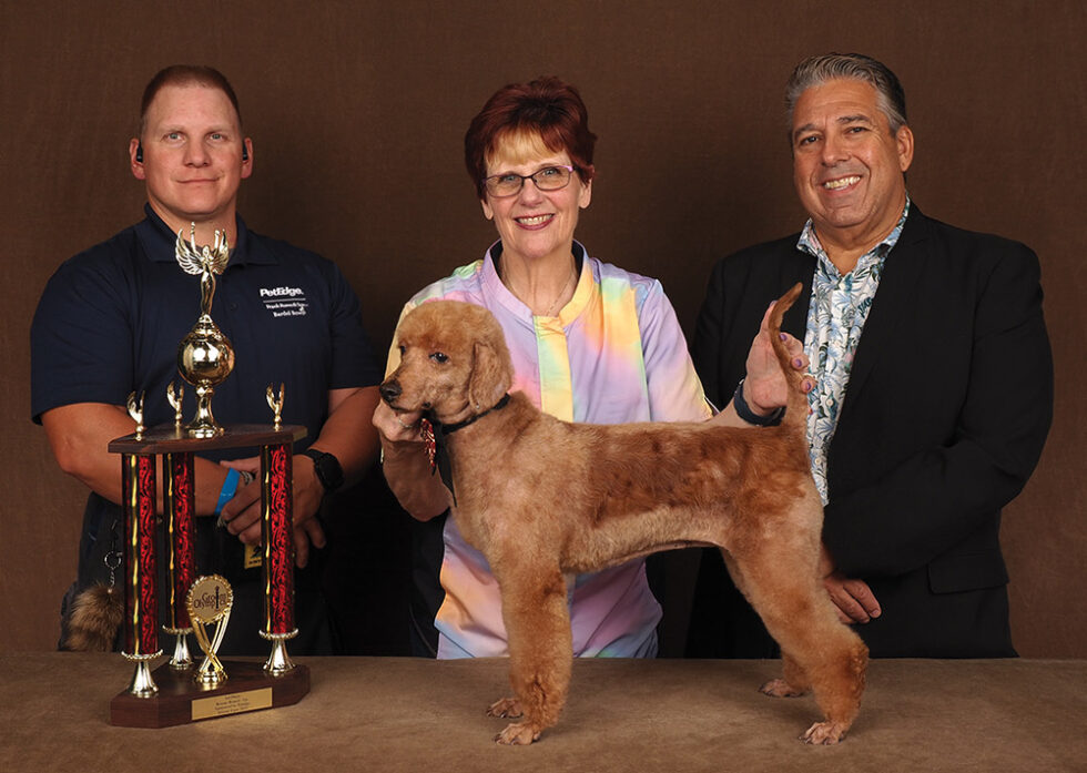 Groom Expo 2025 Contest Results