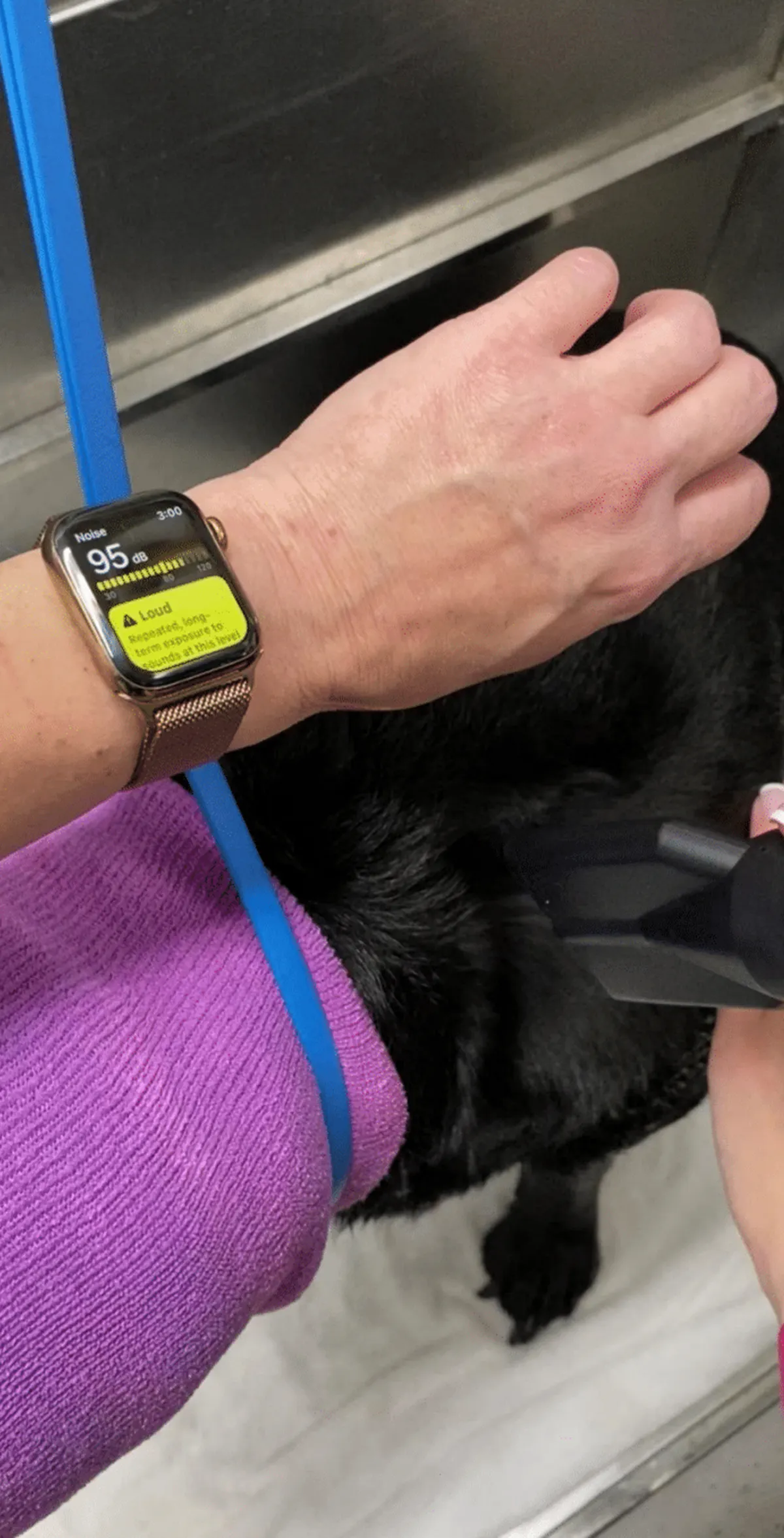 Let’s Talk PPE (and How it Relates to Groomer Ergonomics)
