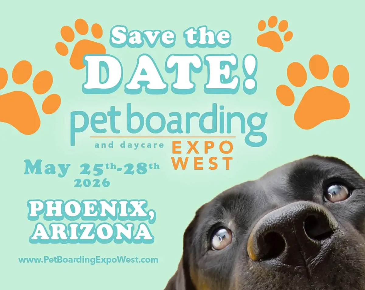 Safe & Stylish: Perfect Poodle Parts